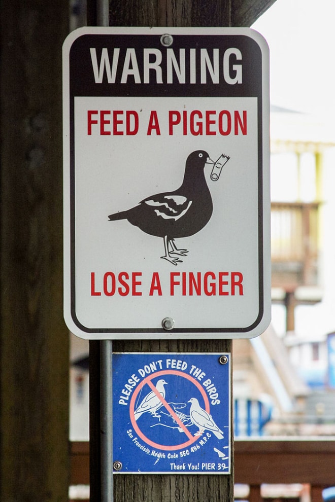 Some Of The Funniest Signs We've Seen This Month - Noticeboards Online